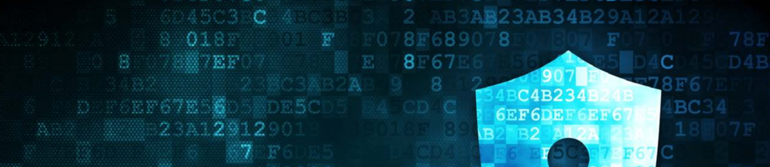 Data Privacy and Cyber Liability - McKenna Storer